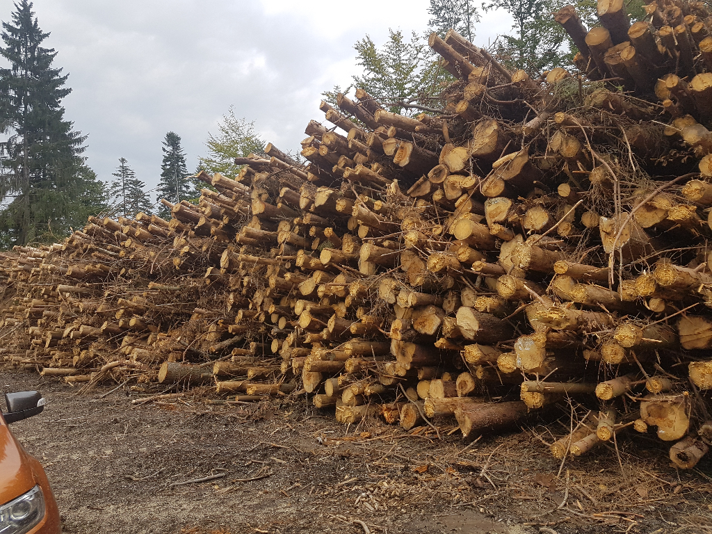 Inzeráty - Práce a služby - Ťažba dreva | LesMedium.sk - Stránka ...